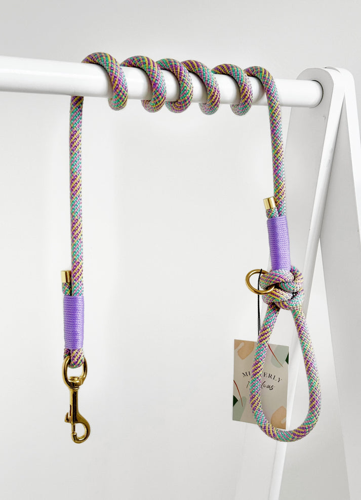 Rope Lead | Rainbow 2 – Mutterly Fabulous